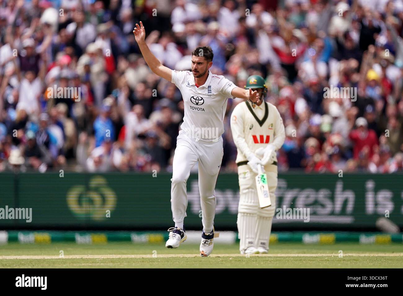 England’s Josh Tongue celebrates taking the wicket of Australia's Steve ...
