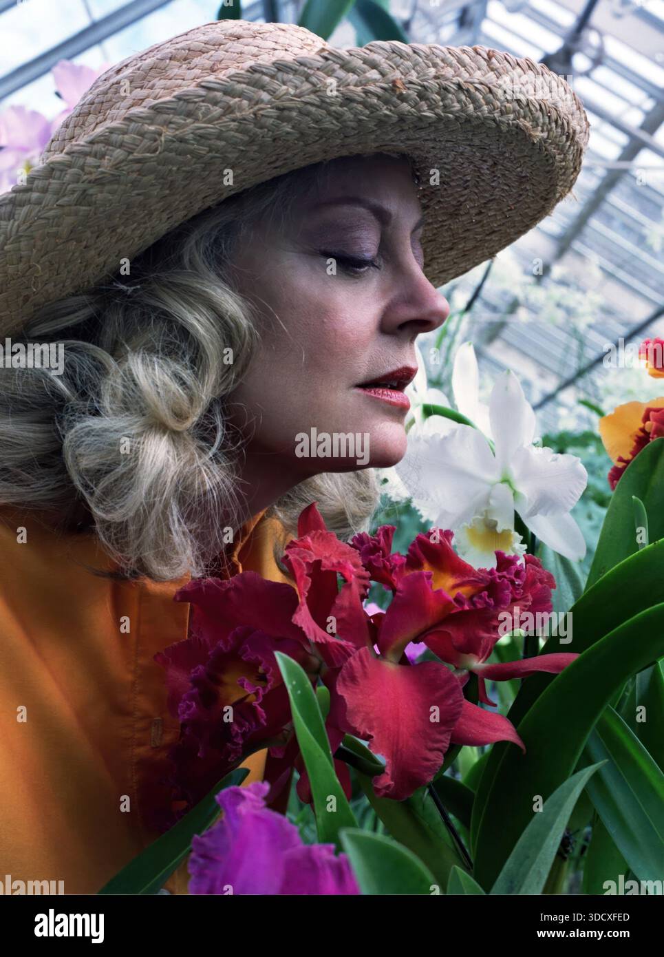 The susan bird hi-res stock photography and images - Alamy