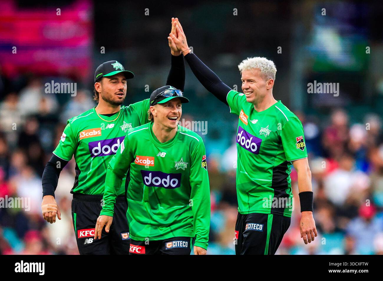 Peter Siddle of the Stars celebrates with team mates the dismissal of ...