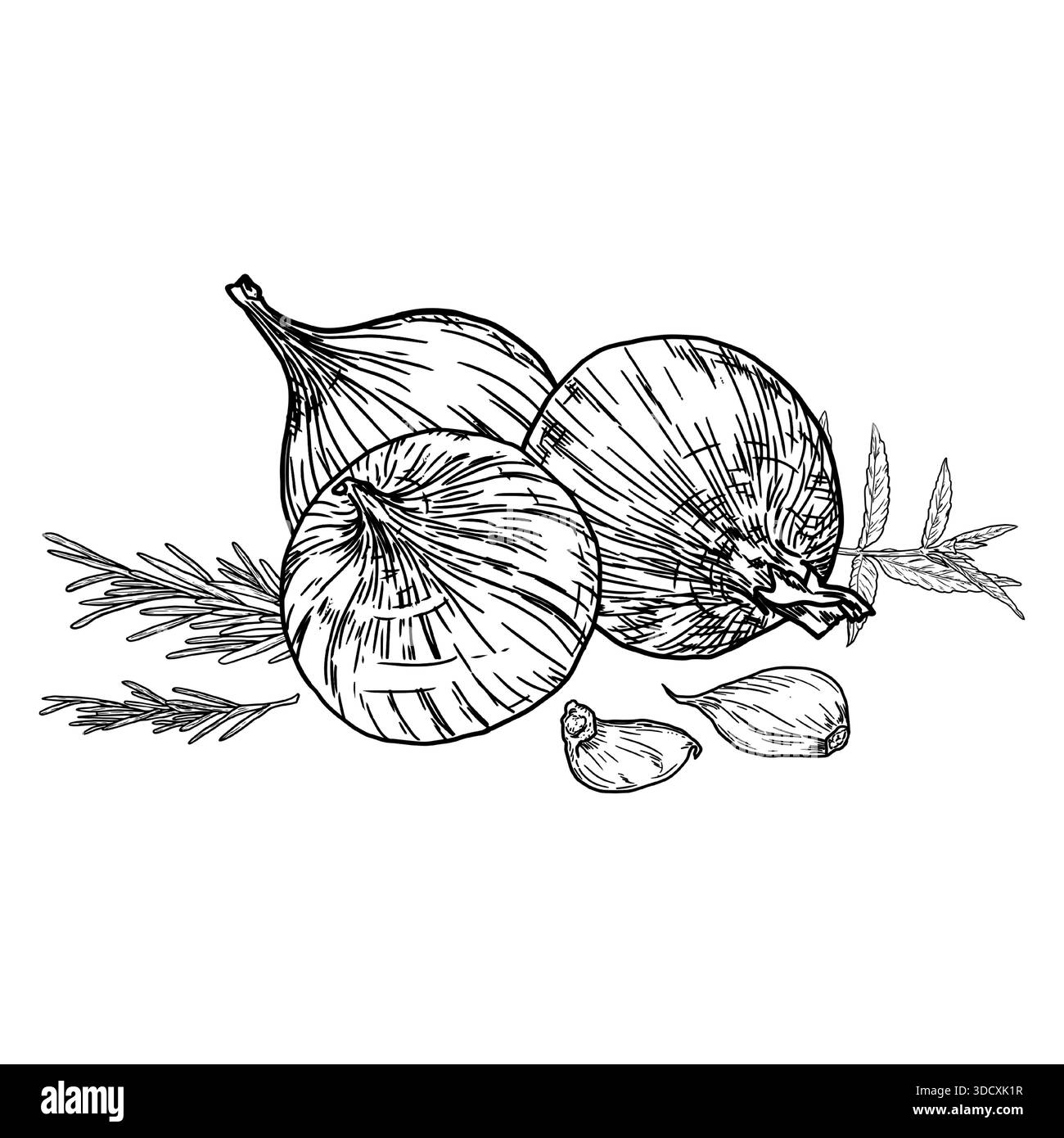 Garlic onion black pepper Black and White Stock Photos & Images - Alamy