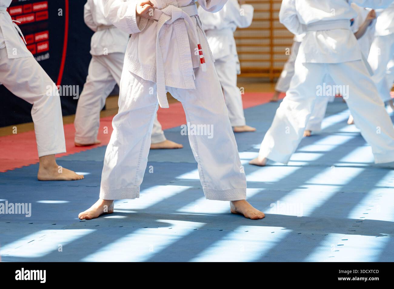 Karate belt ceremony hi-res stock photography and images - Alamy