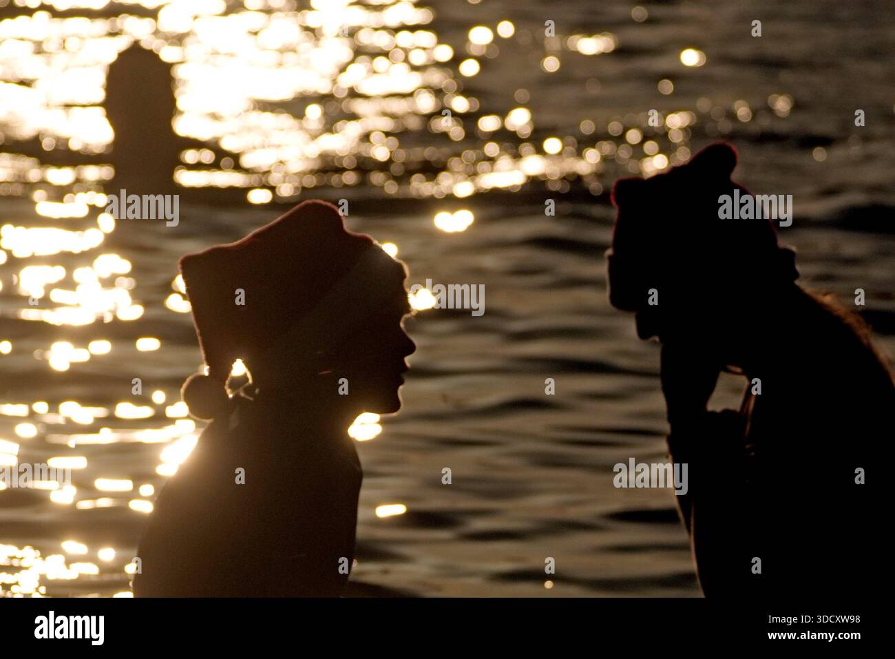 Swimmers take part in the annual Boxing Day Dip at the Royal Albert ...