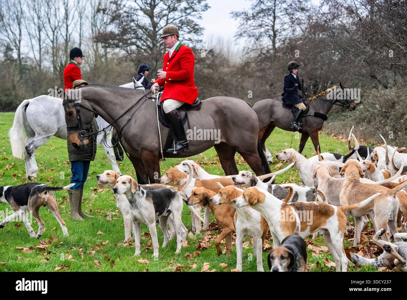 Riders and hounds during the Tedworth Hunt's Boxing Day meet in Pewsey ...