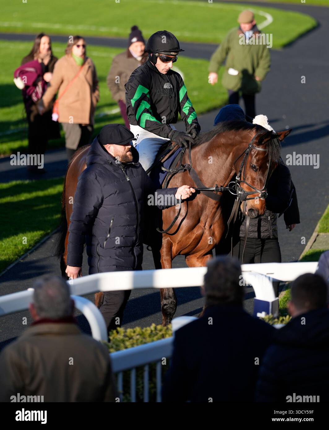 Mydaddypaddy and jockey Harry Skelton in the parade ring ahead of the ...
