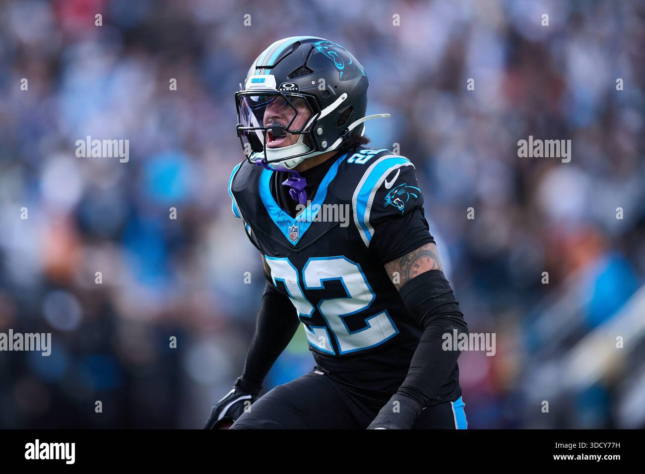 Carolina Panthers safety Lathan Ransom (22) celebrates after ...