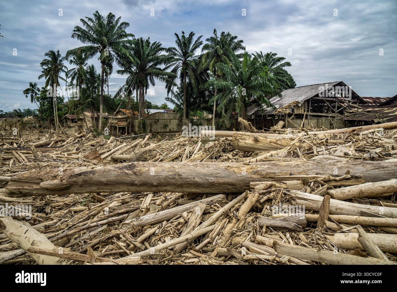 The aftermath conditions of Tropical Cyclone Senyar flash-floods in ...