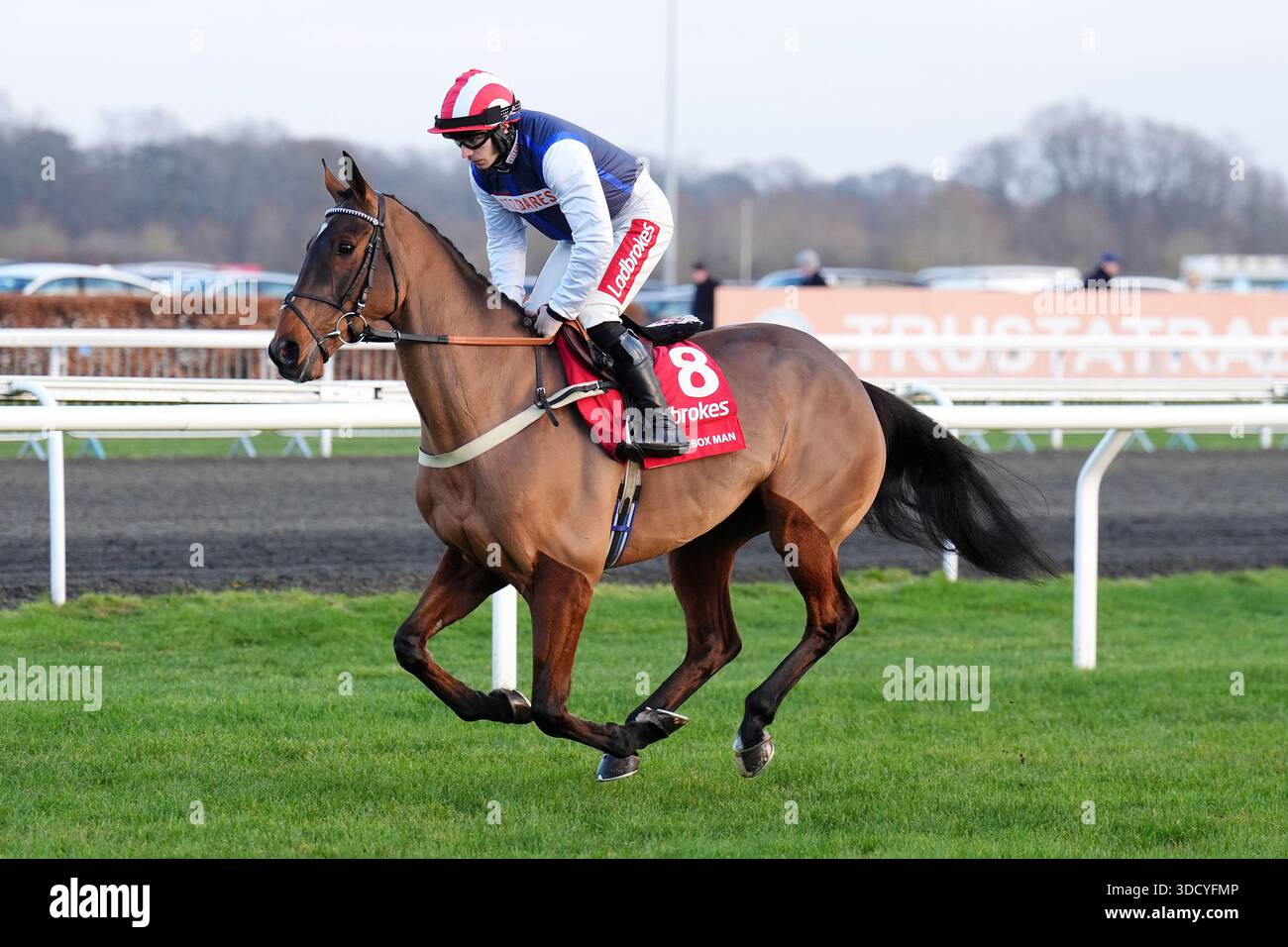 Ben Jones goes to post ahead of the Ladbrokes King George VI Chase ...