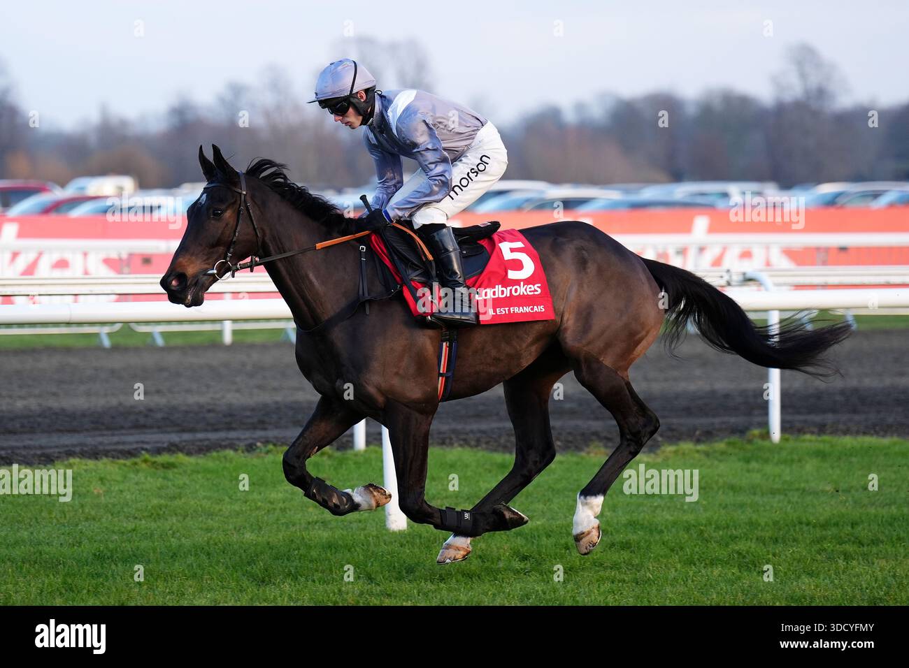 Il Est Francais ridden by Harry Cobden goes to post for the Ladbrokes ...