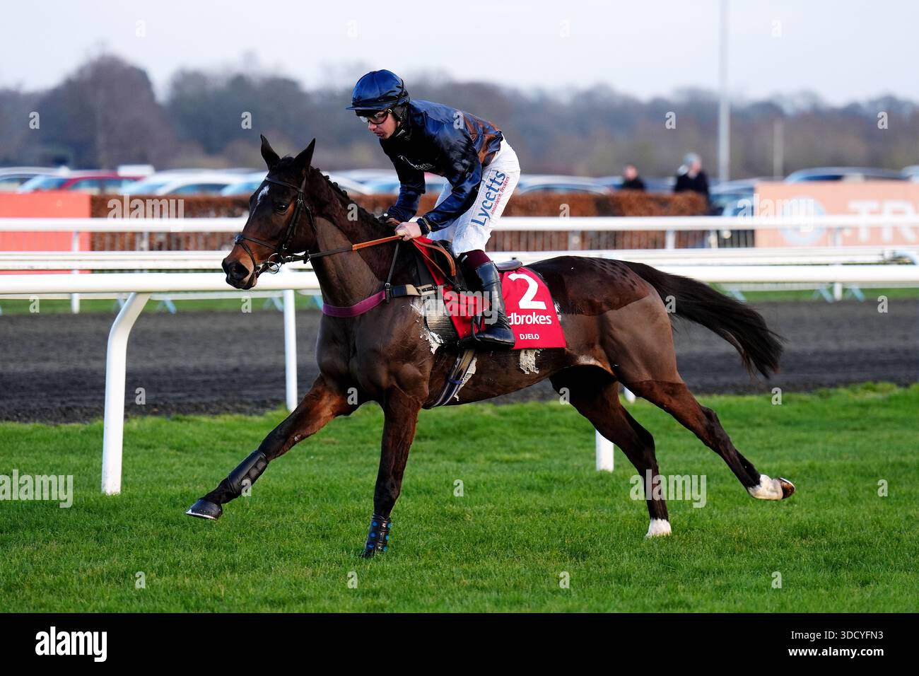 Djelo ridden by Charlie Deutsch goes to post for the Ladbrokes King ...