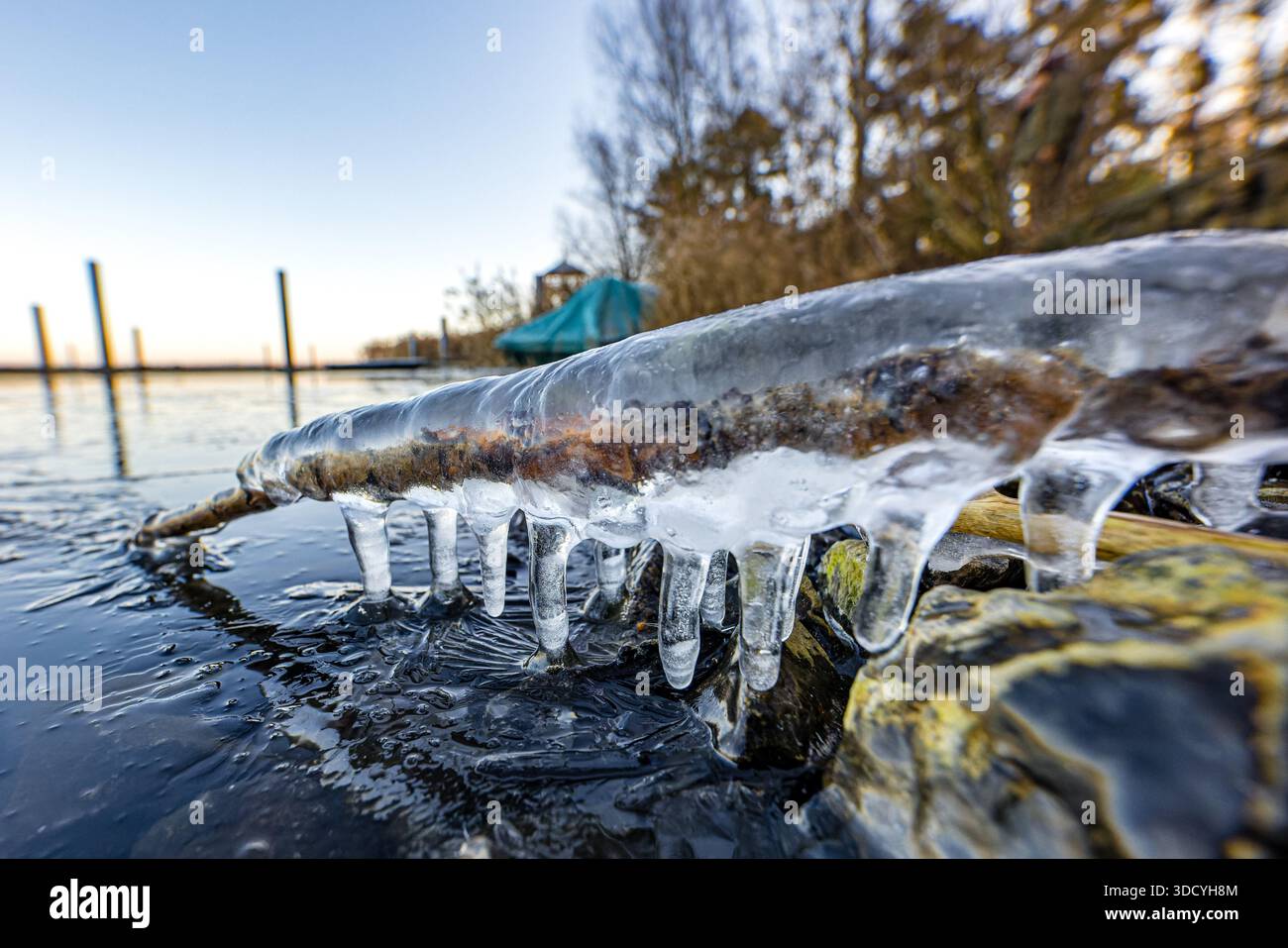 26 December 2025, Brandenburg, Neuhausen: Small ice structures have ...