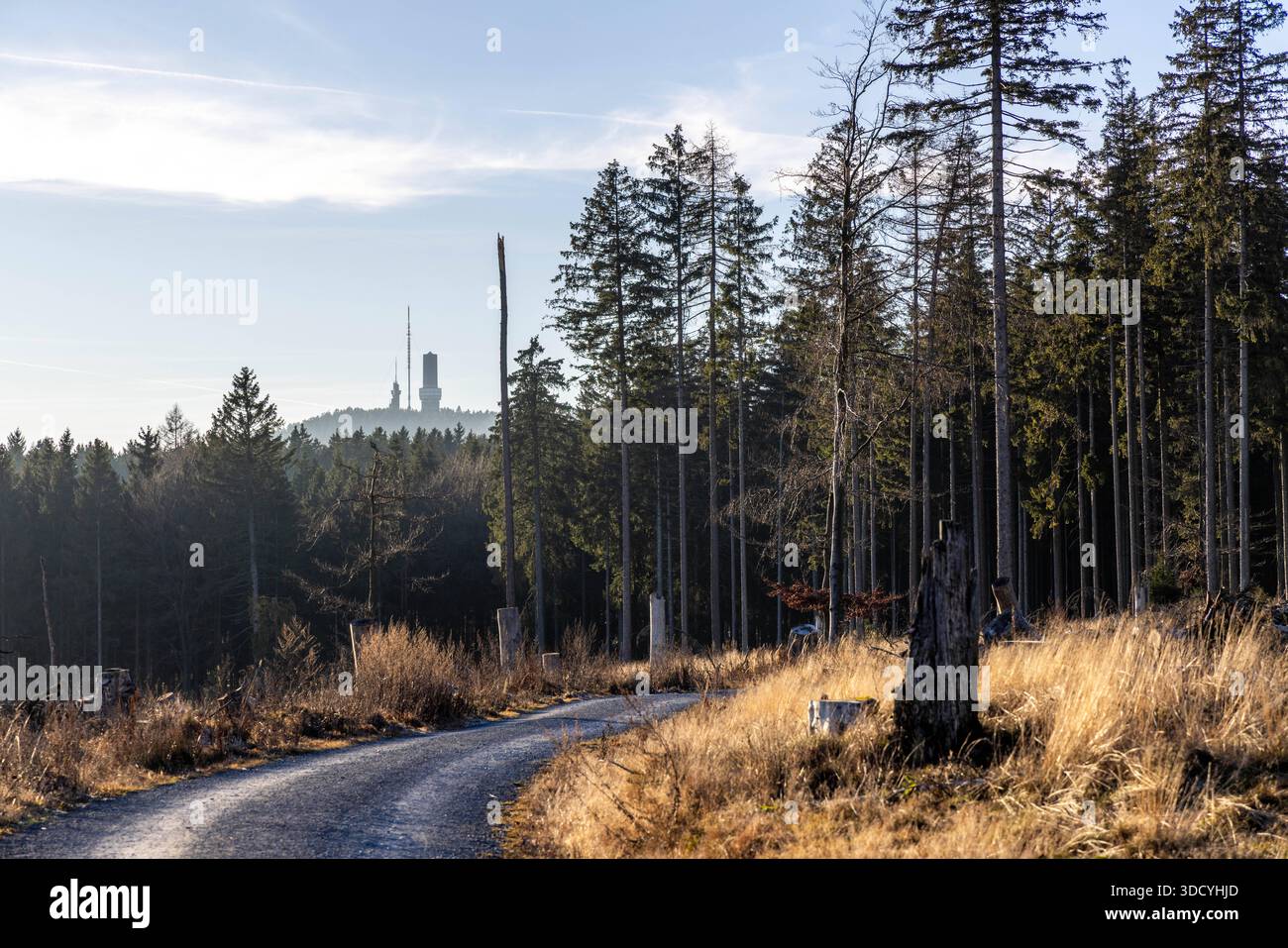 Sonniges Wetter am zweiten Weihnachtsfeiertag Die Sonne scheint auf die ...
