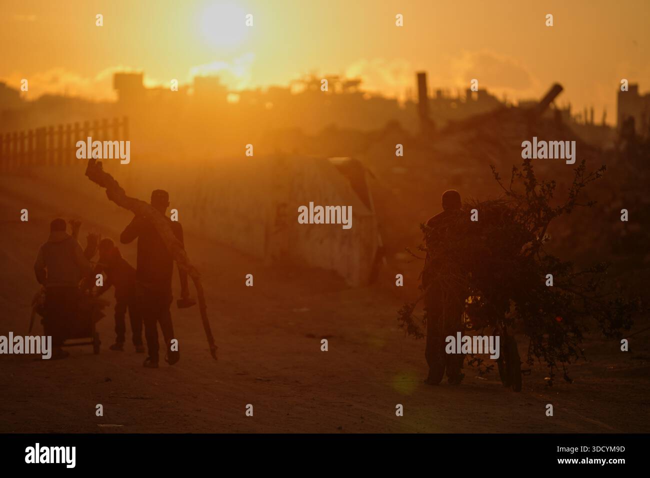 Displaced Palestinians carry wood to make a fire as they walk at sunset ...