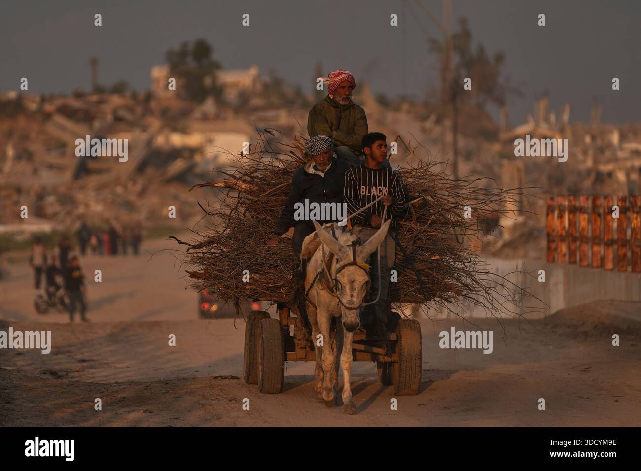 Displaced Palestinians carry wood to make a fire as they ride a donkey ...