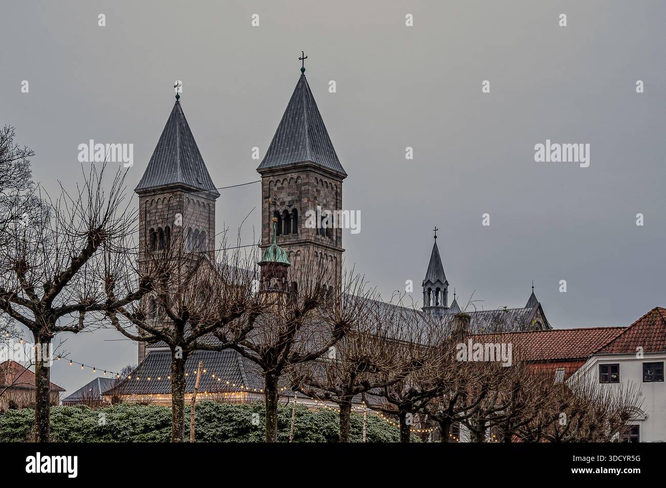 Viborg Cathedral in dusk lighting and a net between the two towers for ...