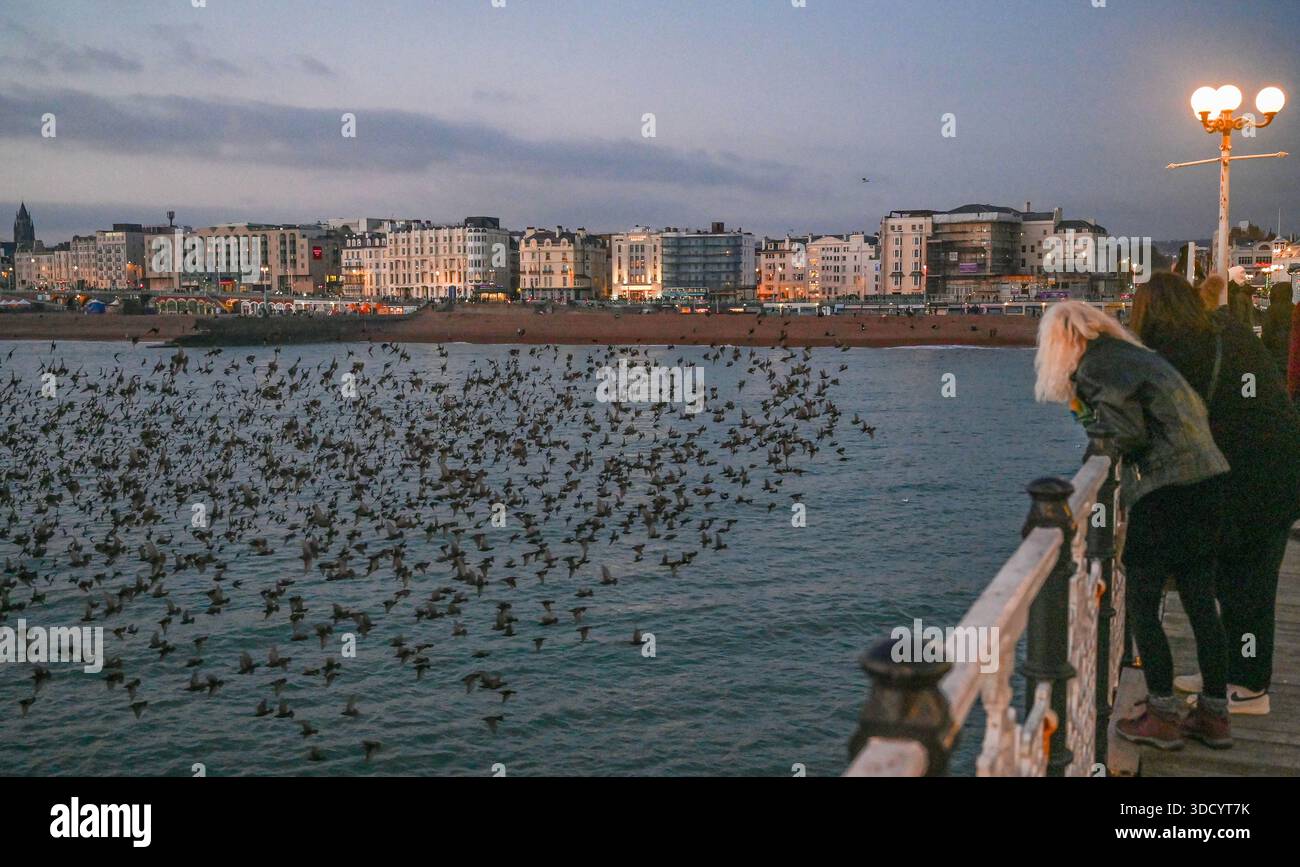 Brighton UK 26th December 2025 - Thousands of starlings perform their ...