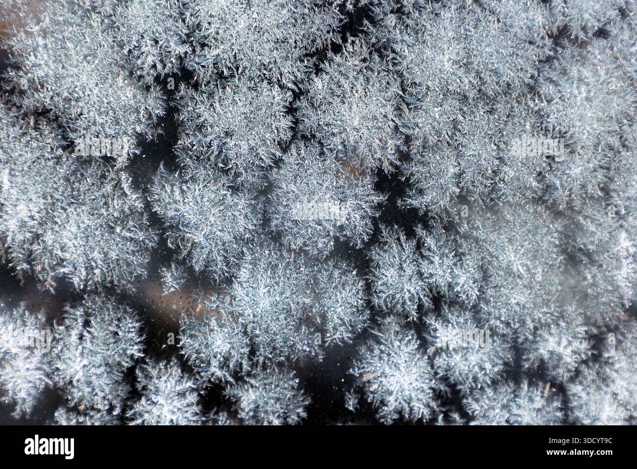 Eisschicht auf Autoglas Auf dem Glas von Autos bilden sich nach ...