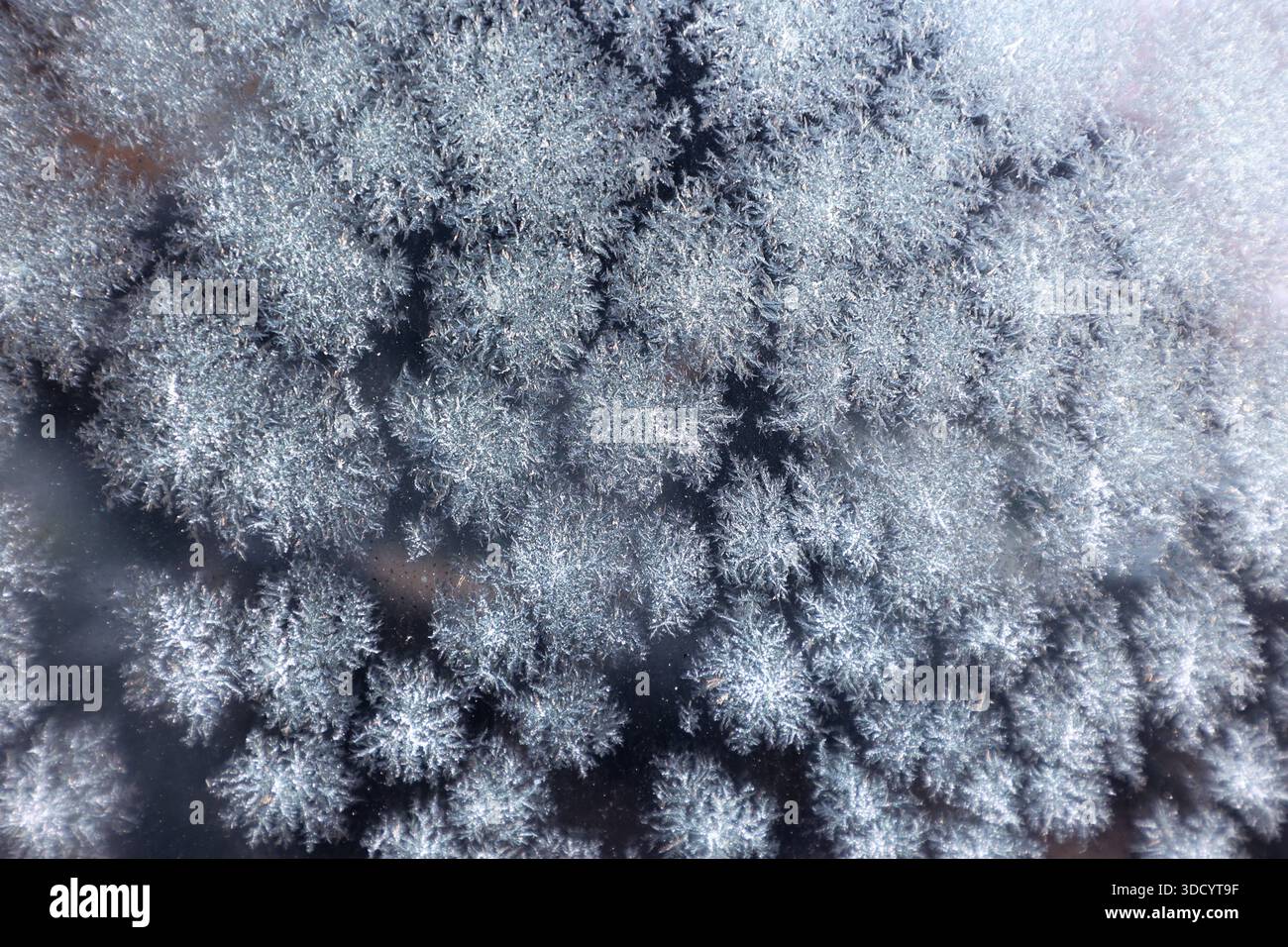 Eisschicht auf Autoglas Auf dem Glas von Autos bilden sich nach ...