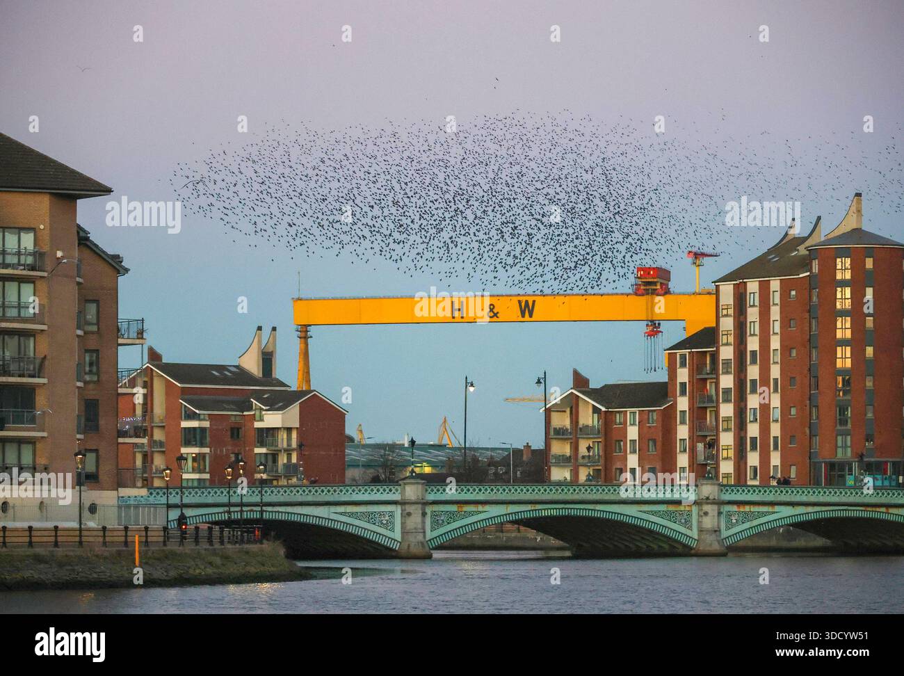 Boxing day 2025 hi-res stock photography and images - Alamy