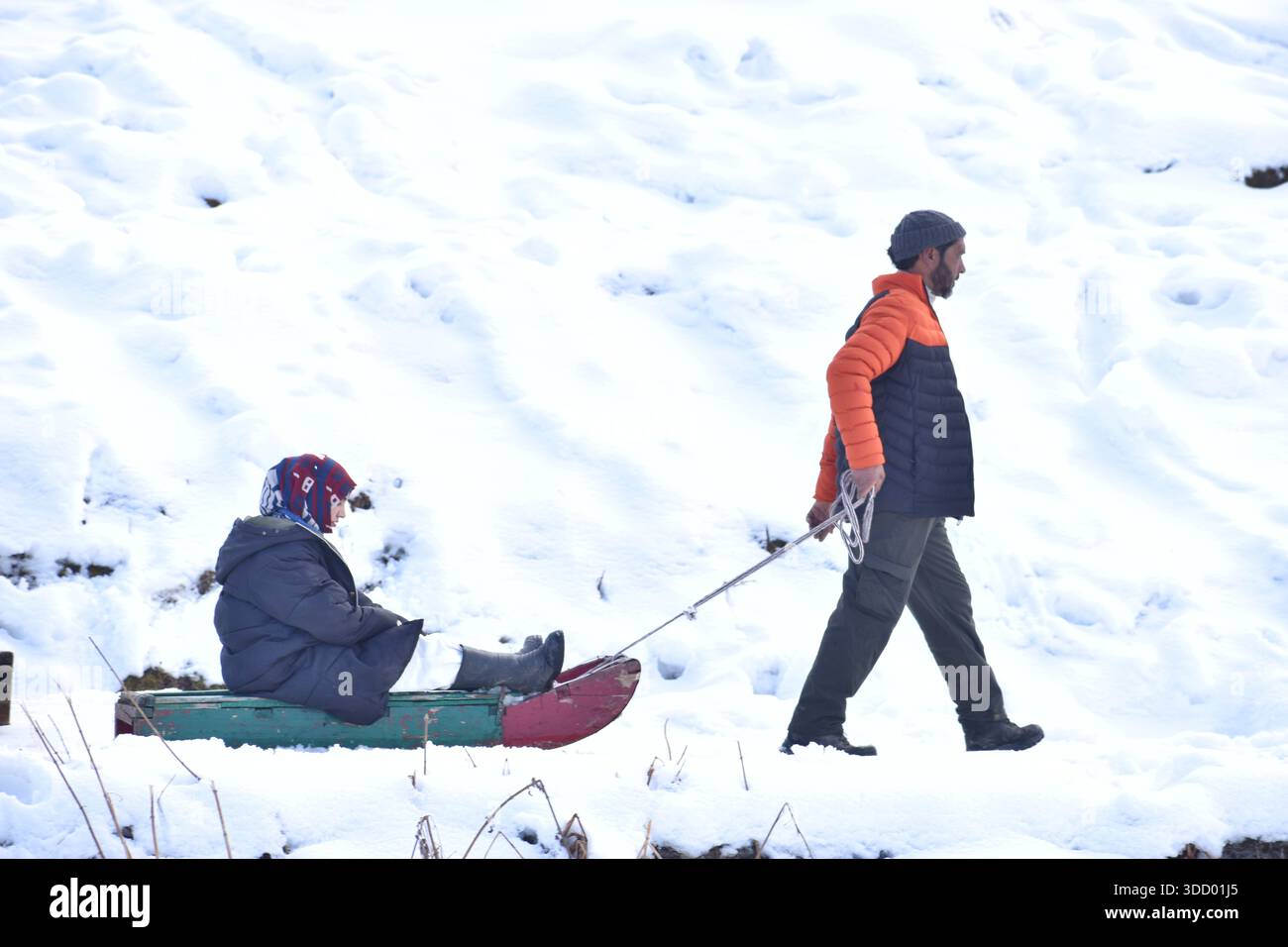 Tourist enjoy snow-clad fields and mountains following seasonal ...