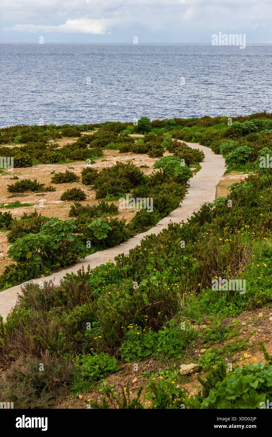 String lights cast warm hi-res stock photography and images - Alamy