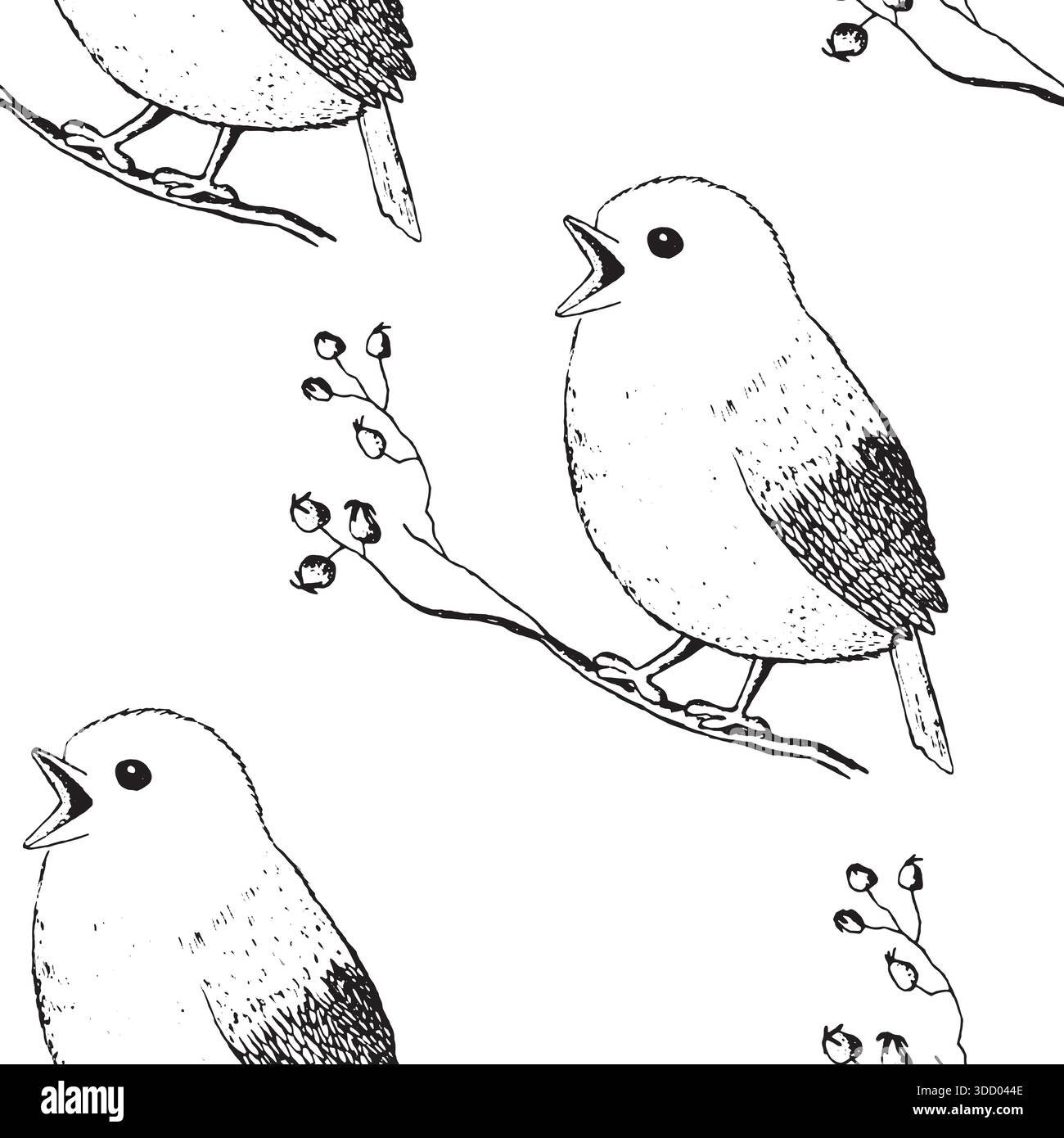 Amusing birds Black and White Stock Photos & Images - Alamy