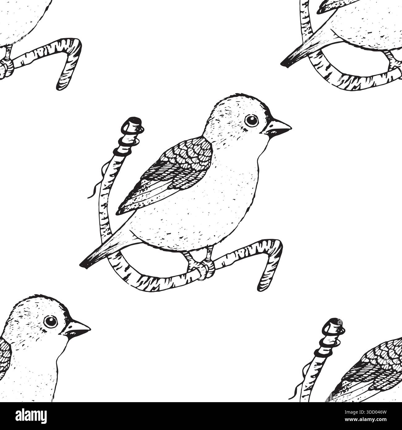 Amusing birds Black and White Stock Photos & Images - Alamy