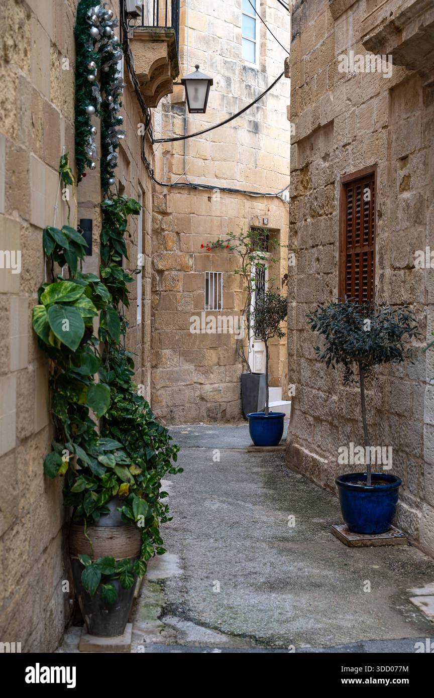 Narrow streets lined with simple houses featuring colorful wooden doors ...