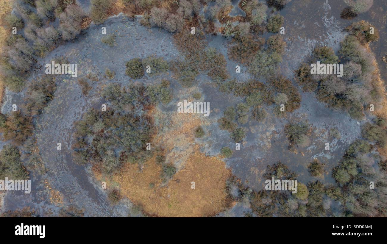 Aerial Belarus winter wetlands show frozen marsh, leafless woodland ...