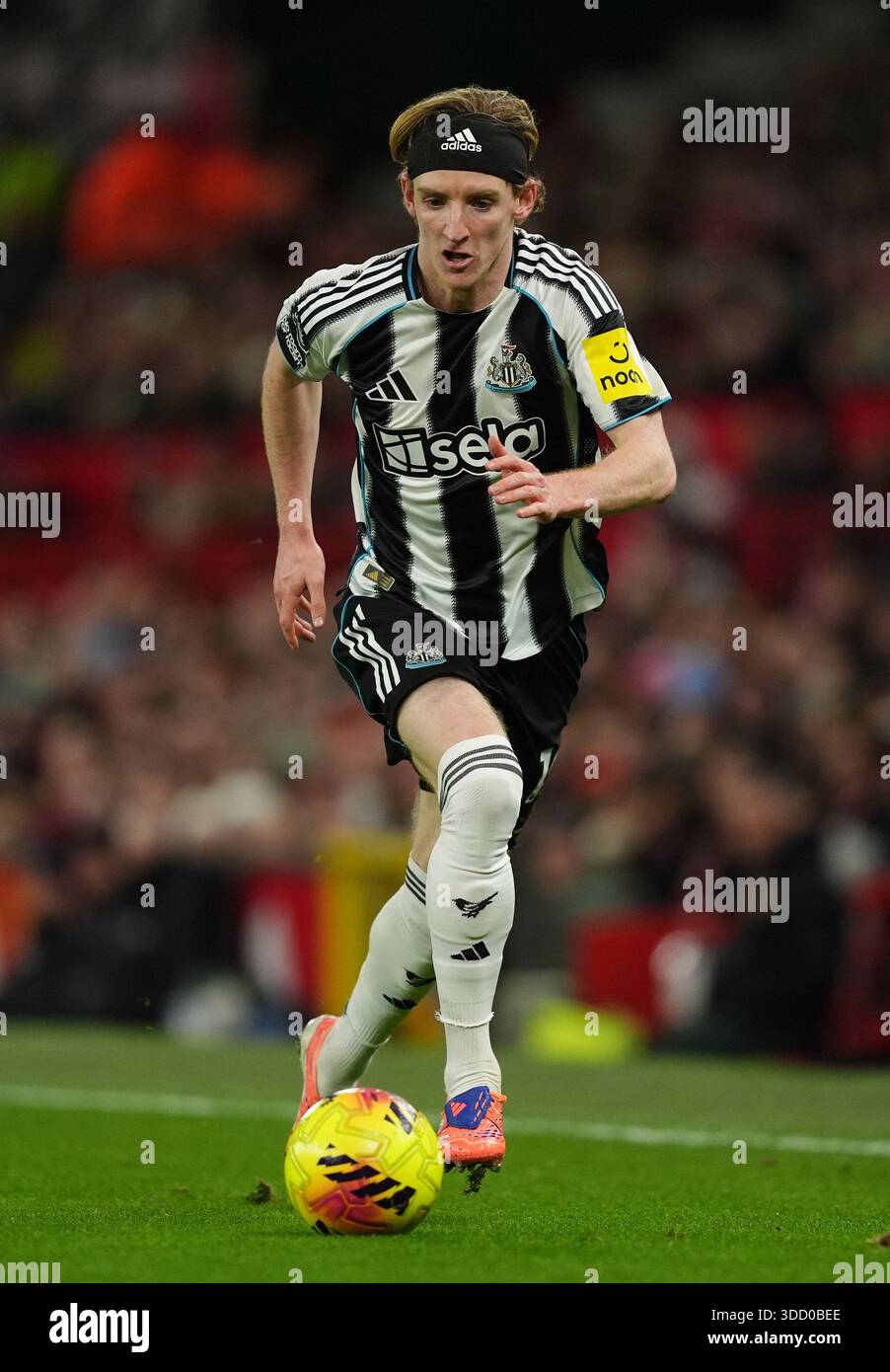 Newcastle United's Anthony Gordon during the Premier League match at ...