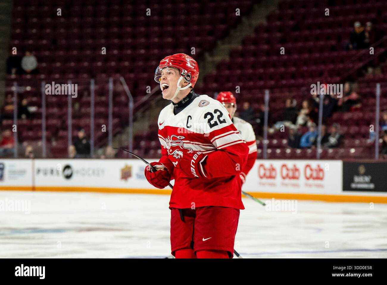 Denmark's Anton Linde celebrates his goal during the third period of an ...