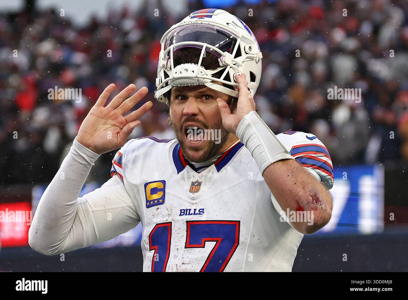 Buffalo Bills quarterback Josh Allen celebrates a touchdown during an ...