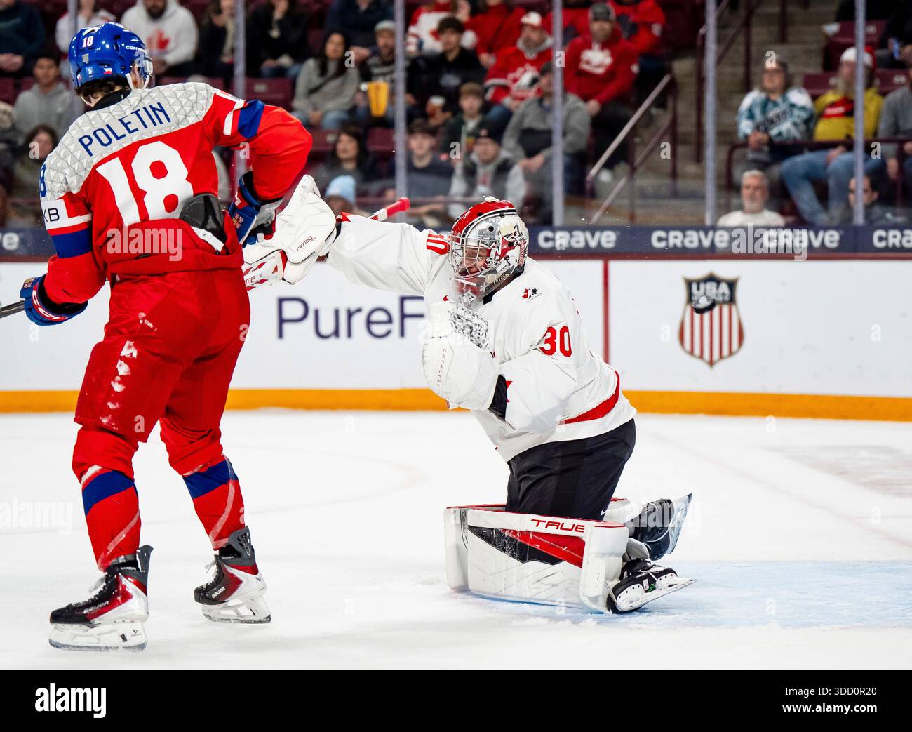 Czechia's Tomas Poletin (18) scores on Canada goaltender Carter George ...