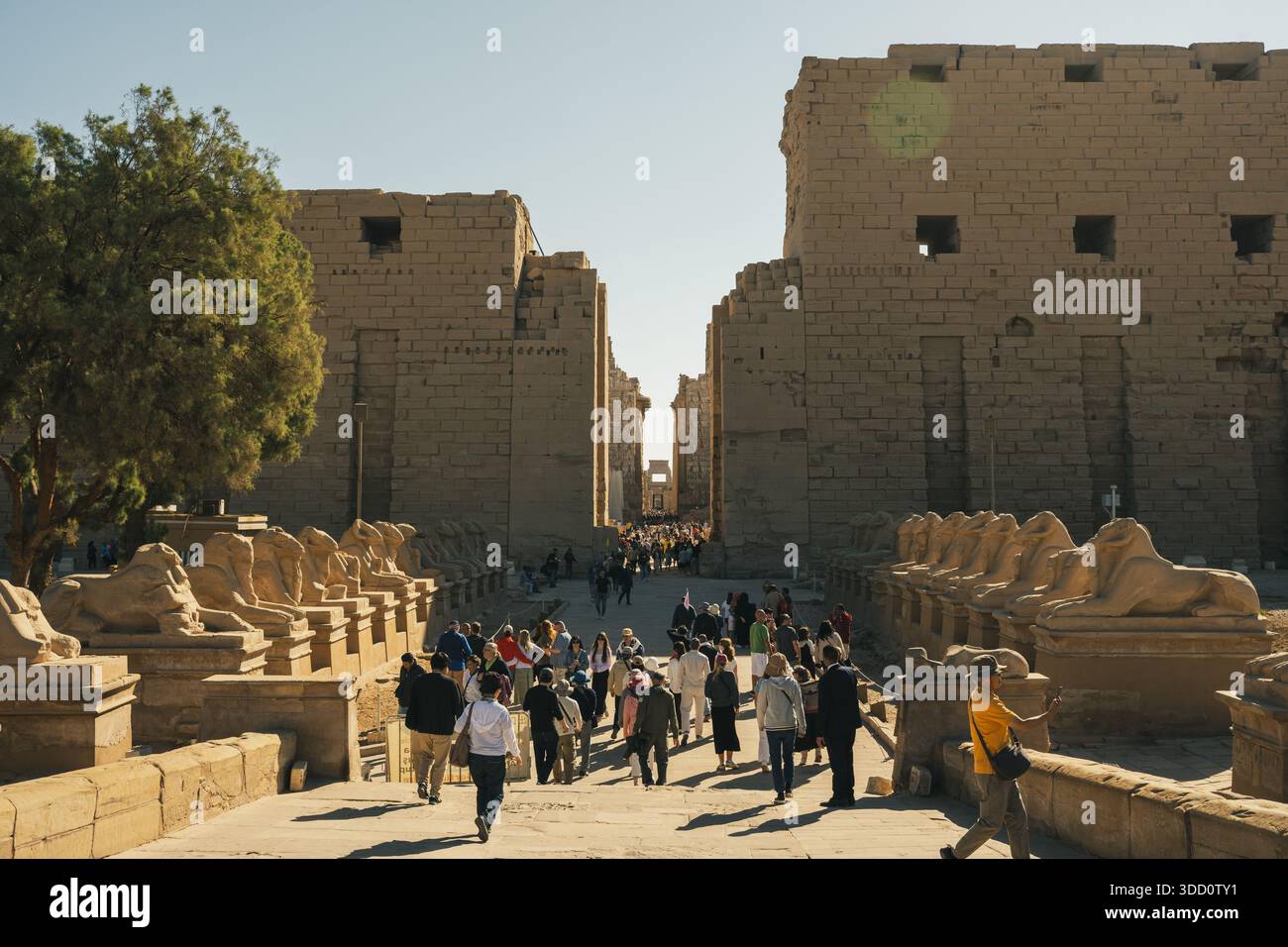 A view of the Karnak Temple. (Photo by Lounis Tiar / SOPA Images/Sipa ...
