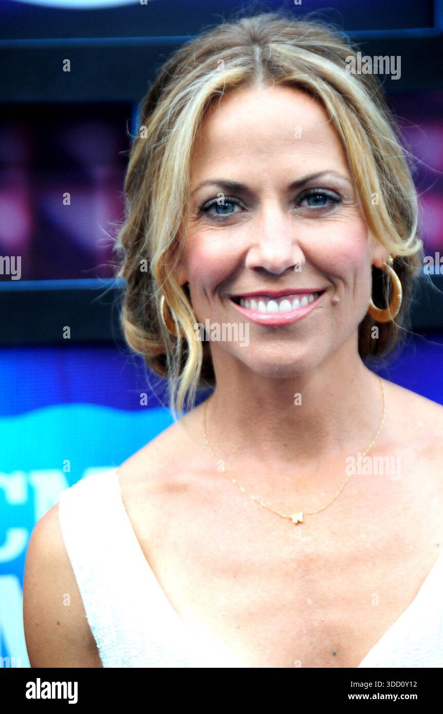 10 June 2010 - Nashville,TN - Sheryl Crow on the blue carpet at the ...