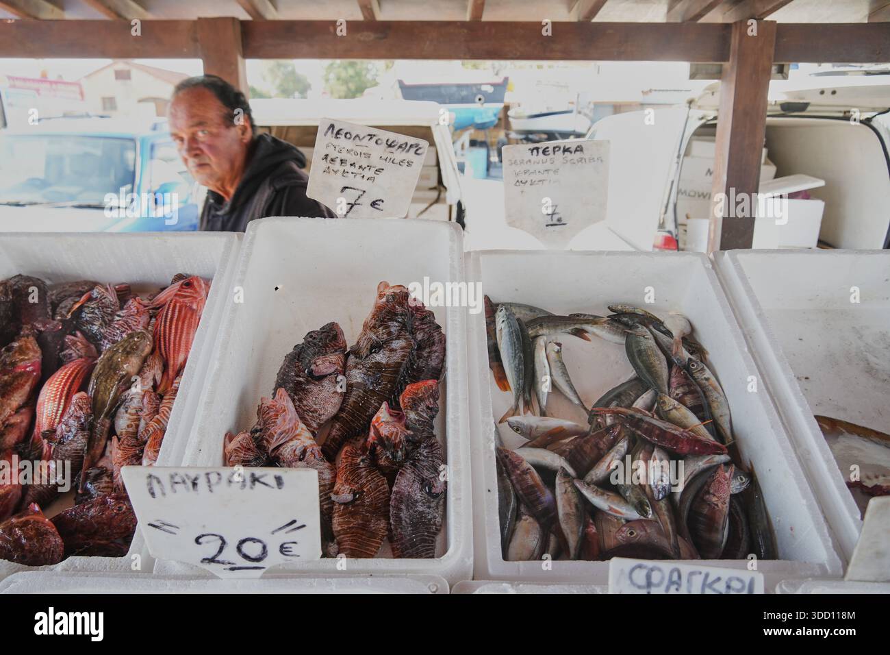 A man walks behind lionfish, center, and other fish at a fish market at ...
