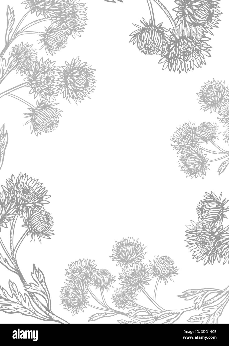 Chrysanthemum frame Black and White Stock Photos & Images - Alamy