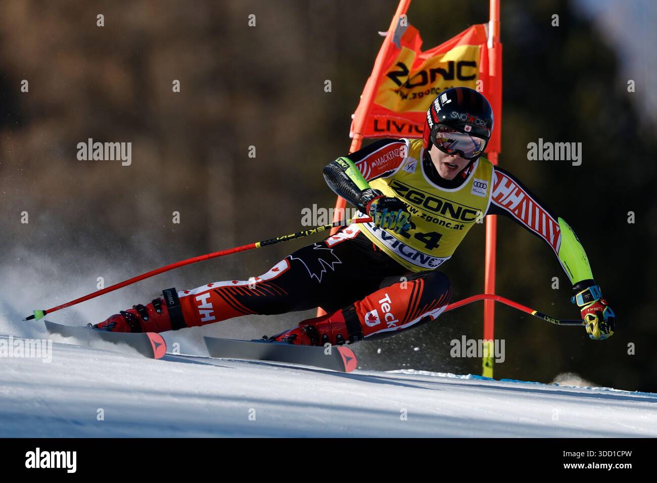 Canada's Jeffrey Read speeds down the course during an alpine ski, men ...