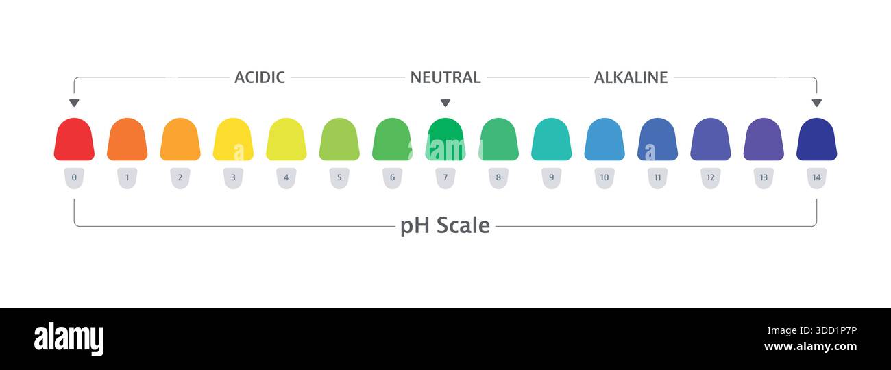 horizontal stripe ph scale. ph scale on white background Stock Photo ...