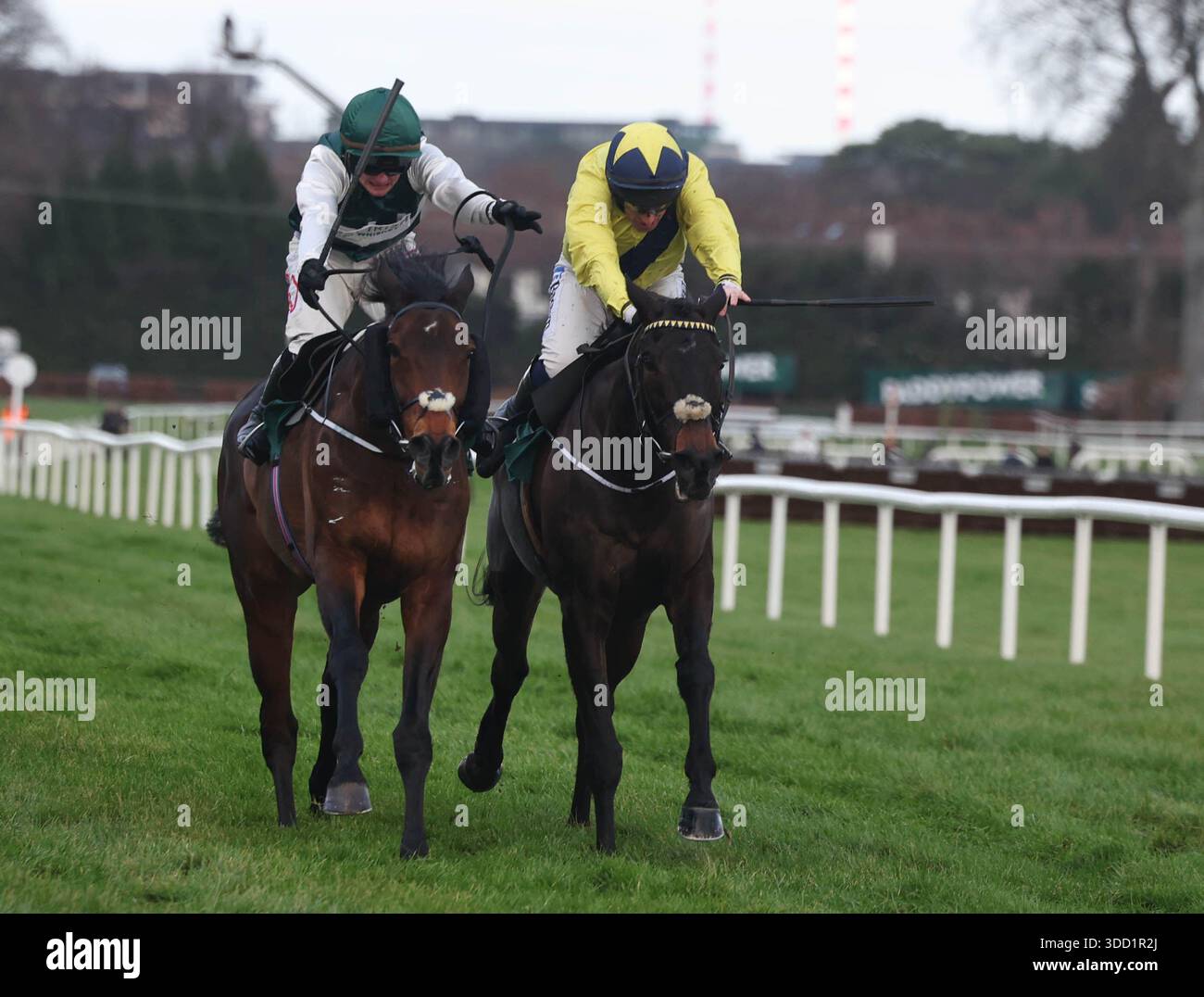 Solness ridden by Sam Ewing (left) on their way to winning the Paddy's ...