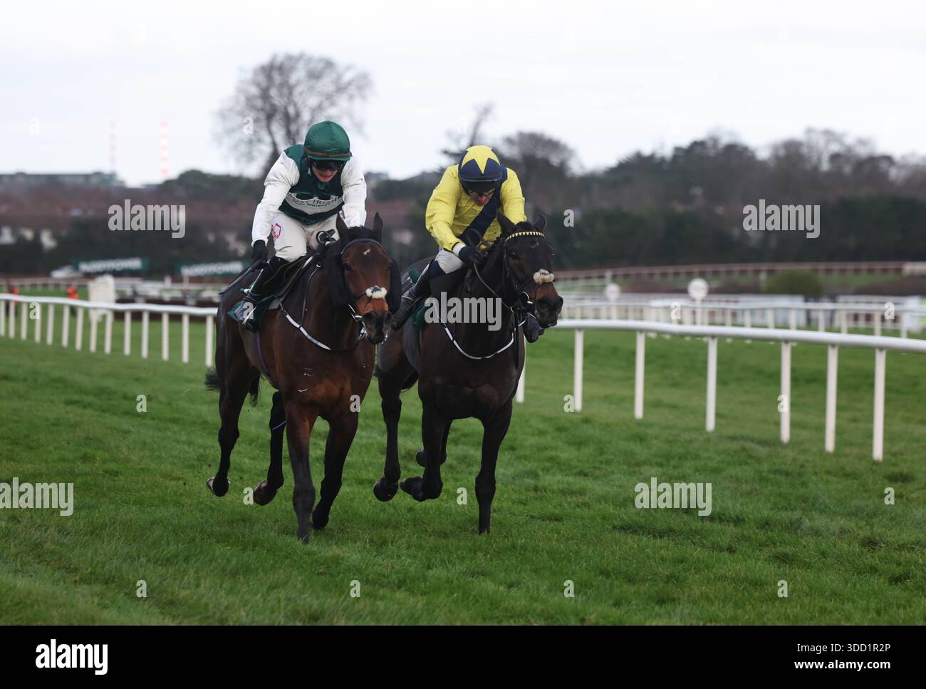 Solness ridden by Sam Ewing (left) on their way to winning the Paddy's ...