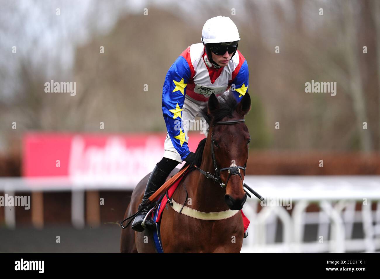 Hansard horse racing hi-res stock photography and images - Alamy