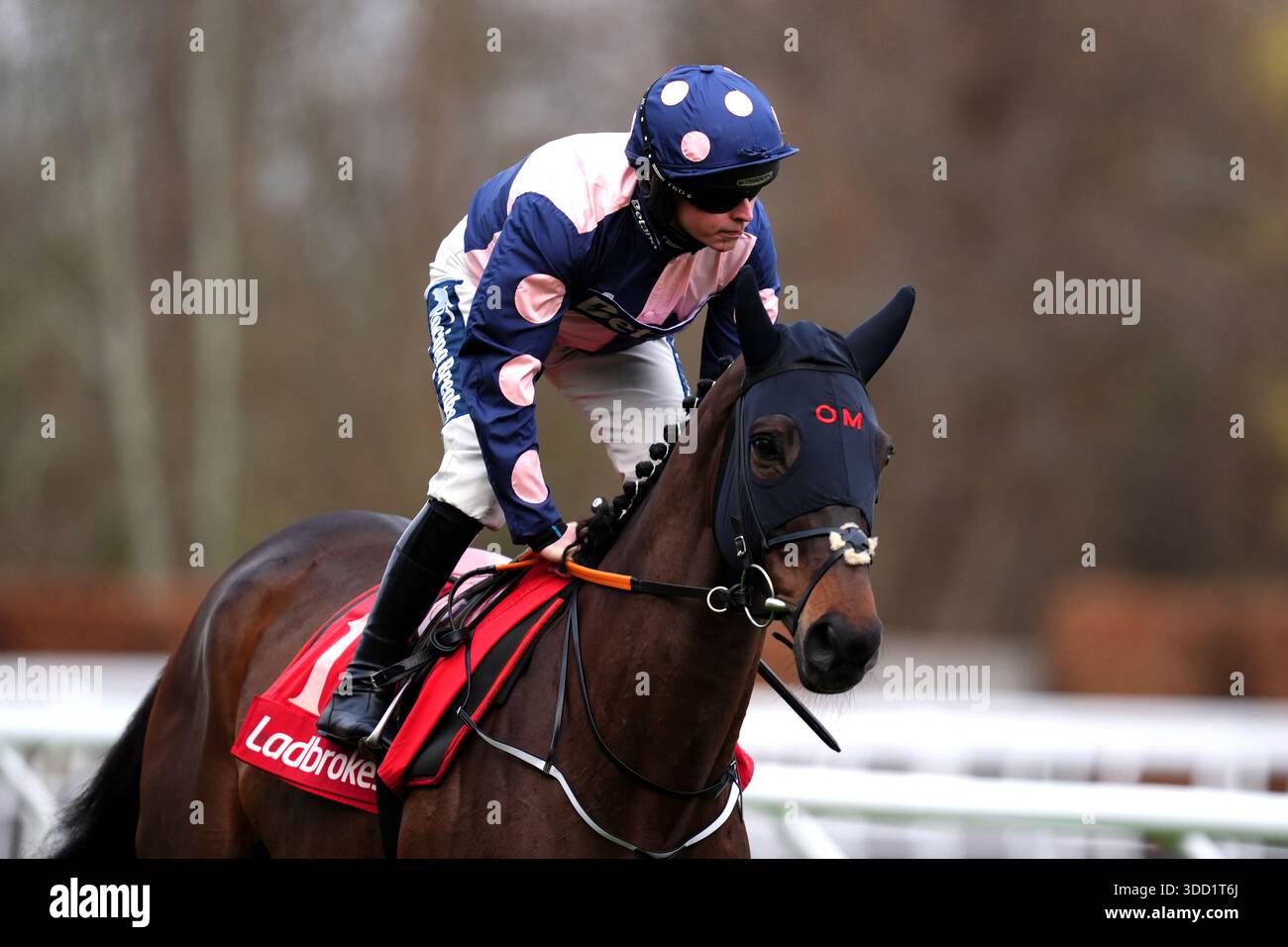 Jockey James Bowen with horse Alnilam before the Ladbrokes Wayward Lad ...