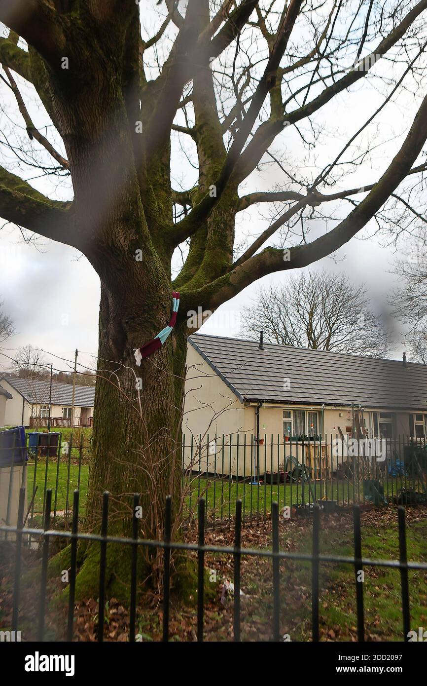 A Burnley flag hangs from a. treeduring the Premier League match ...