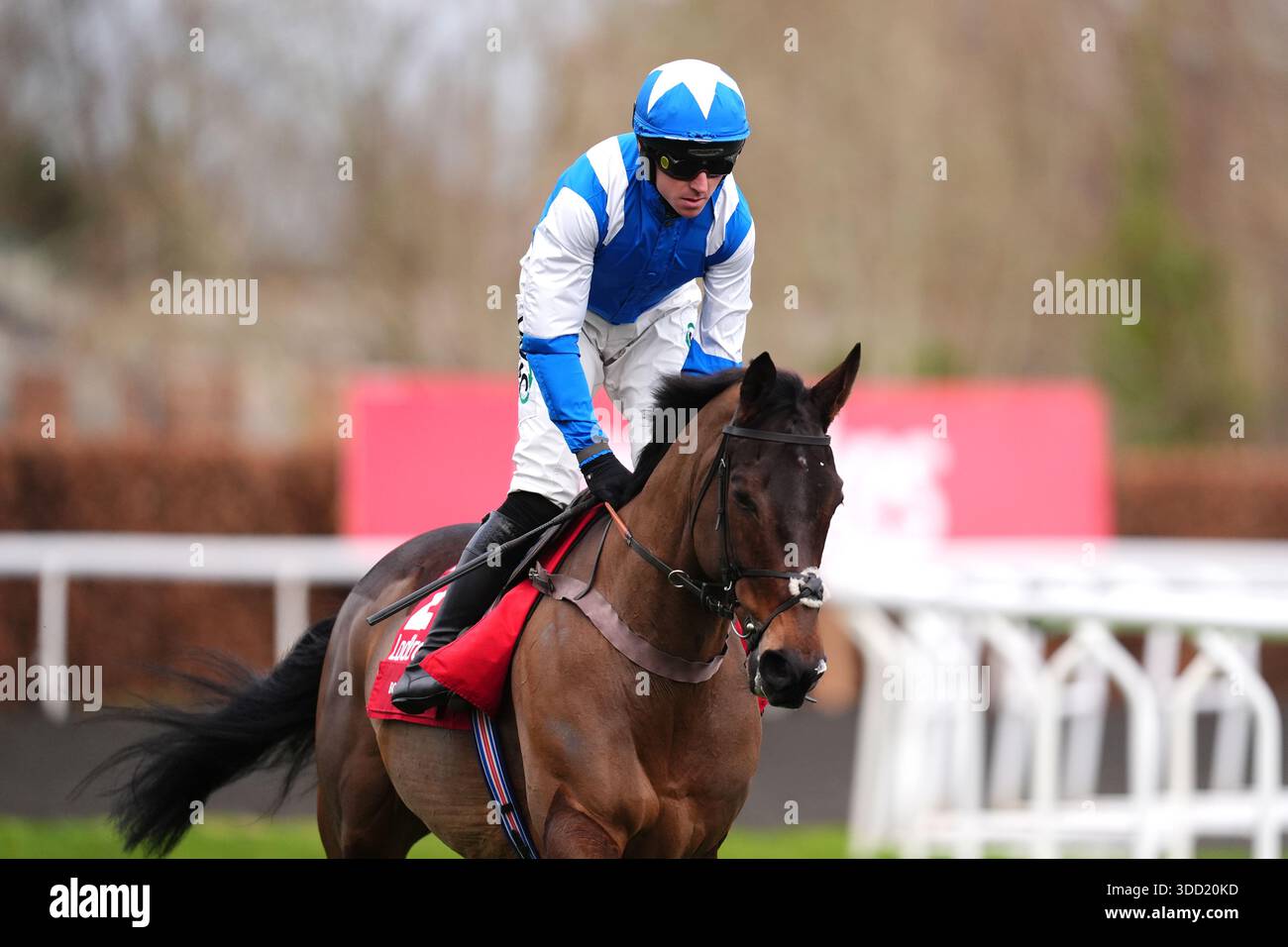 Boothill ridden by Bryan Carver before the Ladbrokes Desert Orchid ...