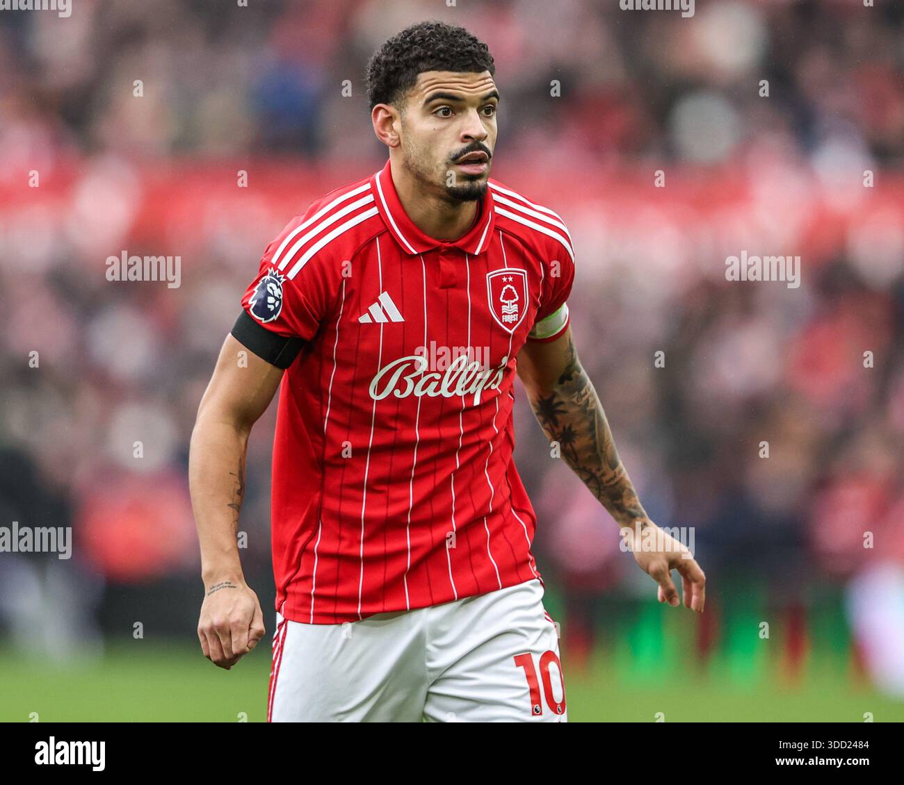 Morgan Gibbs-White of Nottingham Forest during the Premier League match ...