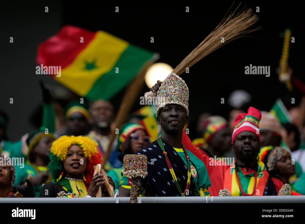 Senegal fans cheer their team during the Africa Cup of Nations group D ...