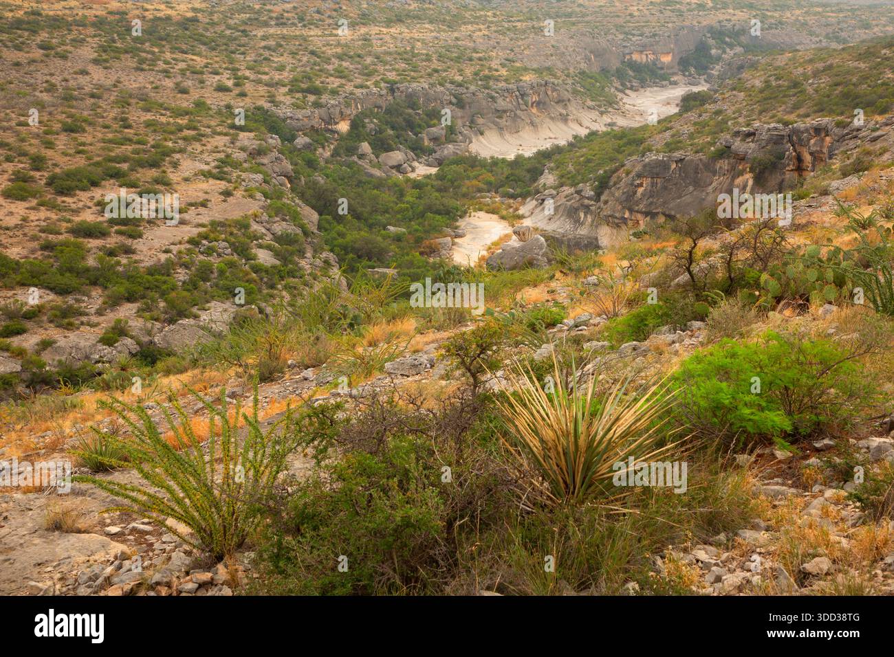 Seminole valley hi-res stock photography and images - Alamy
