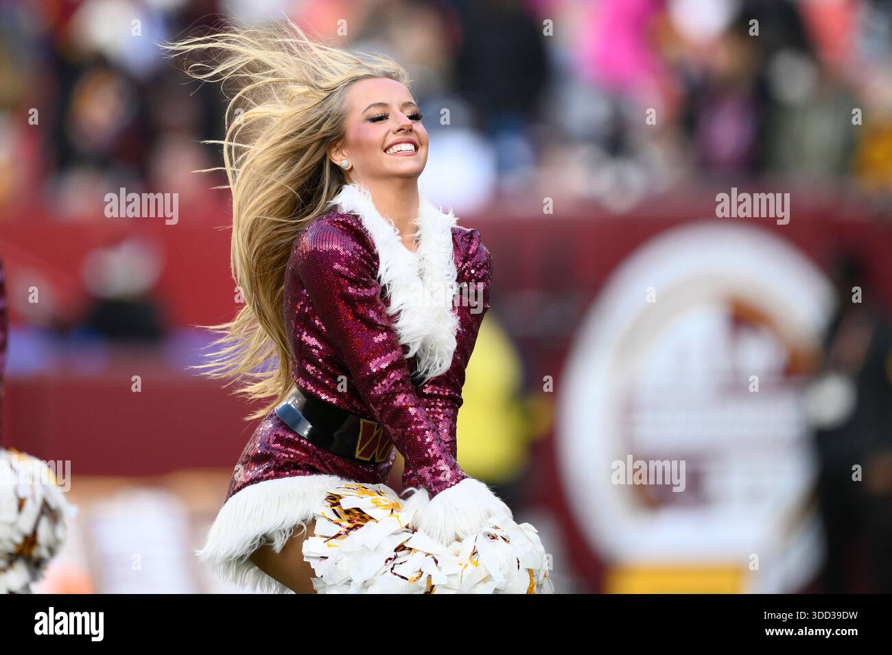 The Command Force performs during the second half of an NFL football ...