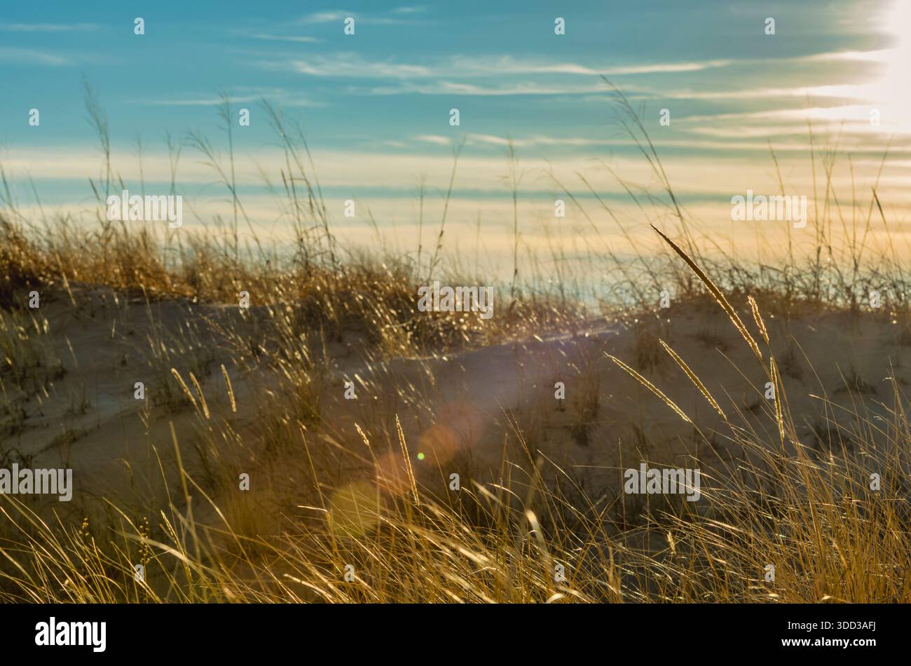 Evening sun shines above coastline hi-res stock photography and images ...