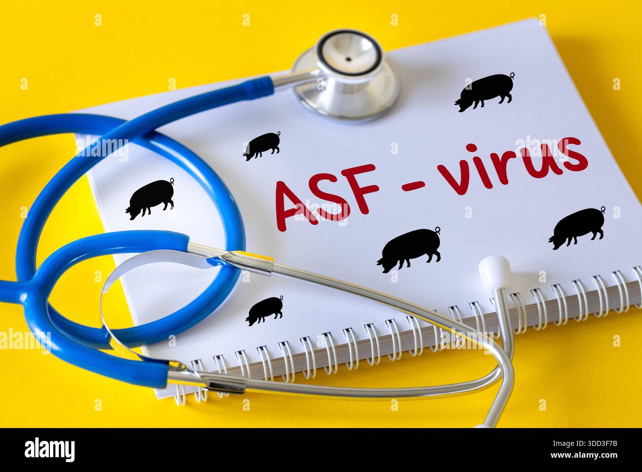 ASF virus. African Swine Fever. A highly contagious and fatal viral ...